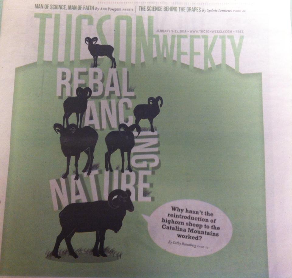 Print clips – Cathy Spencer Rosenberg